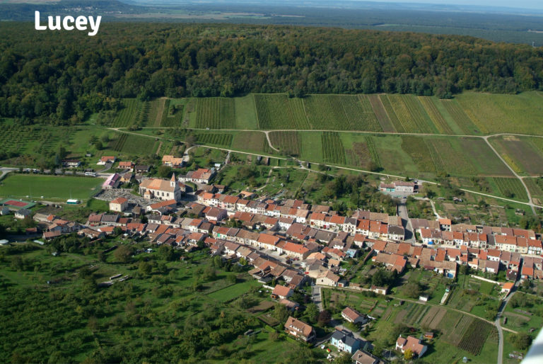 Lucey